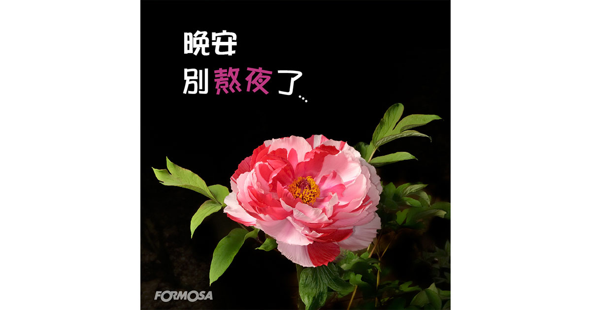 長輩圖！LINE長輩圖免費下載-FORMOSA！貼圖酷
