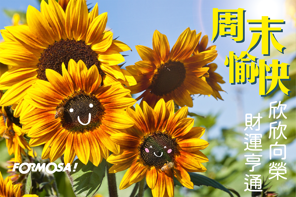 長輩圖！LINE長輩圖免費下載-FORMOSA！貼圖酷